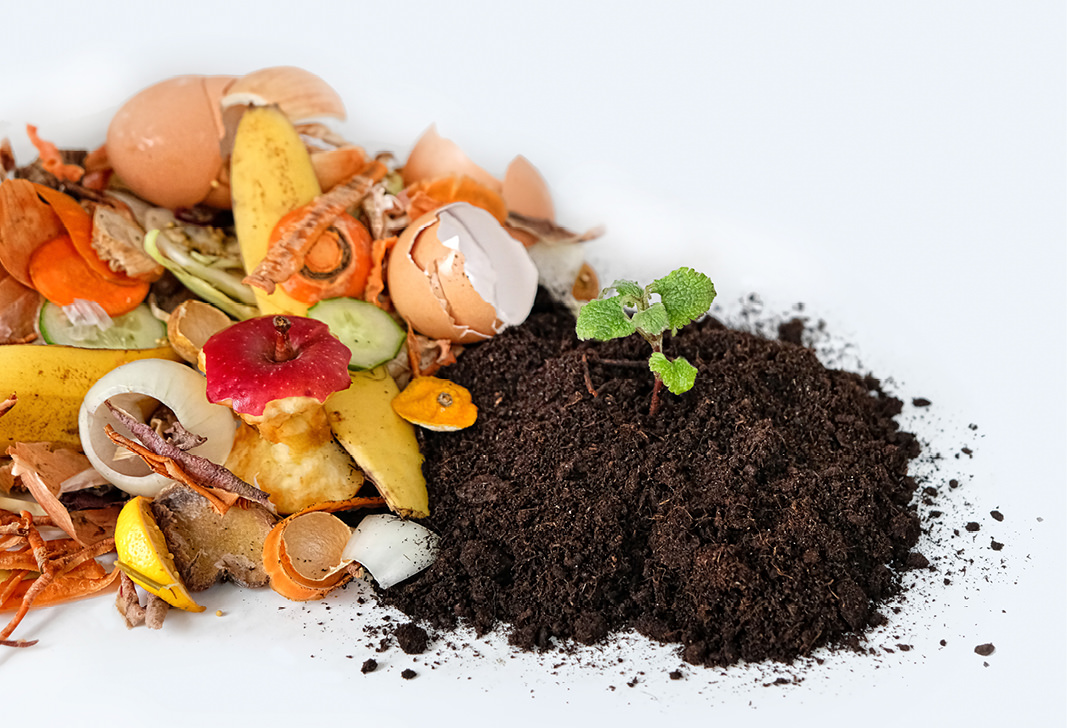 Trash Talk: The Landfill Food Waste Problem - metroSTOR US