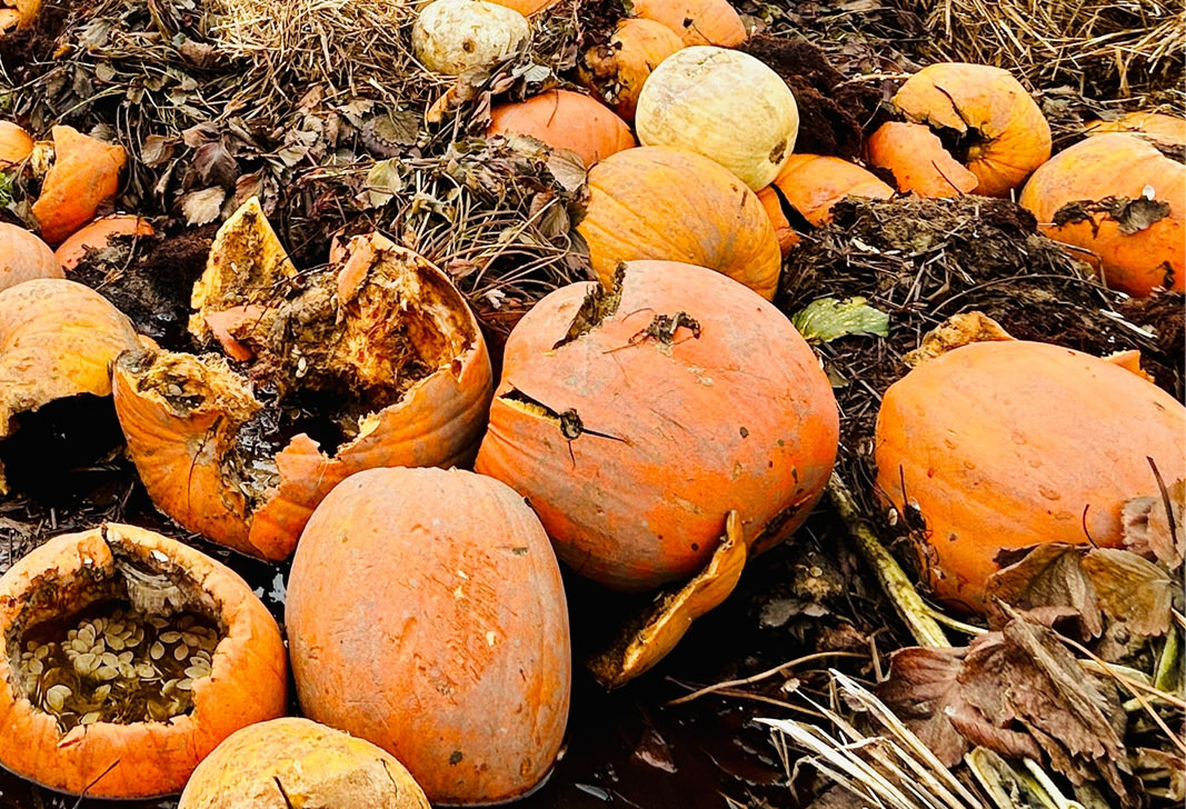 Food Waste Recycling: Ohio’s Successful Drop-Off Program